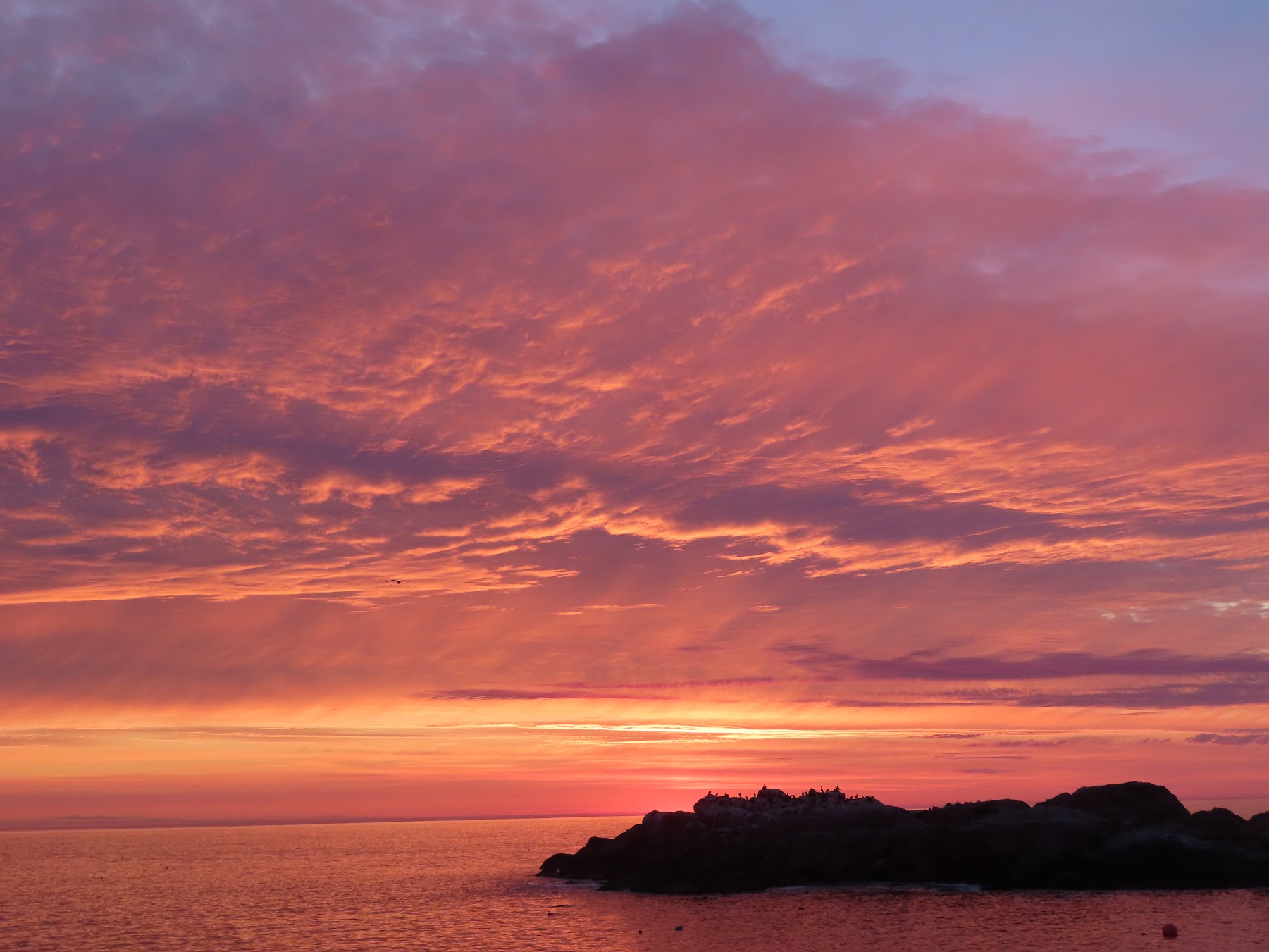 Done and Undusted – Love in the Spaces